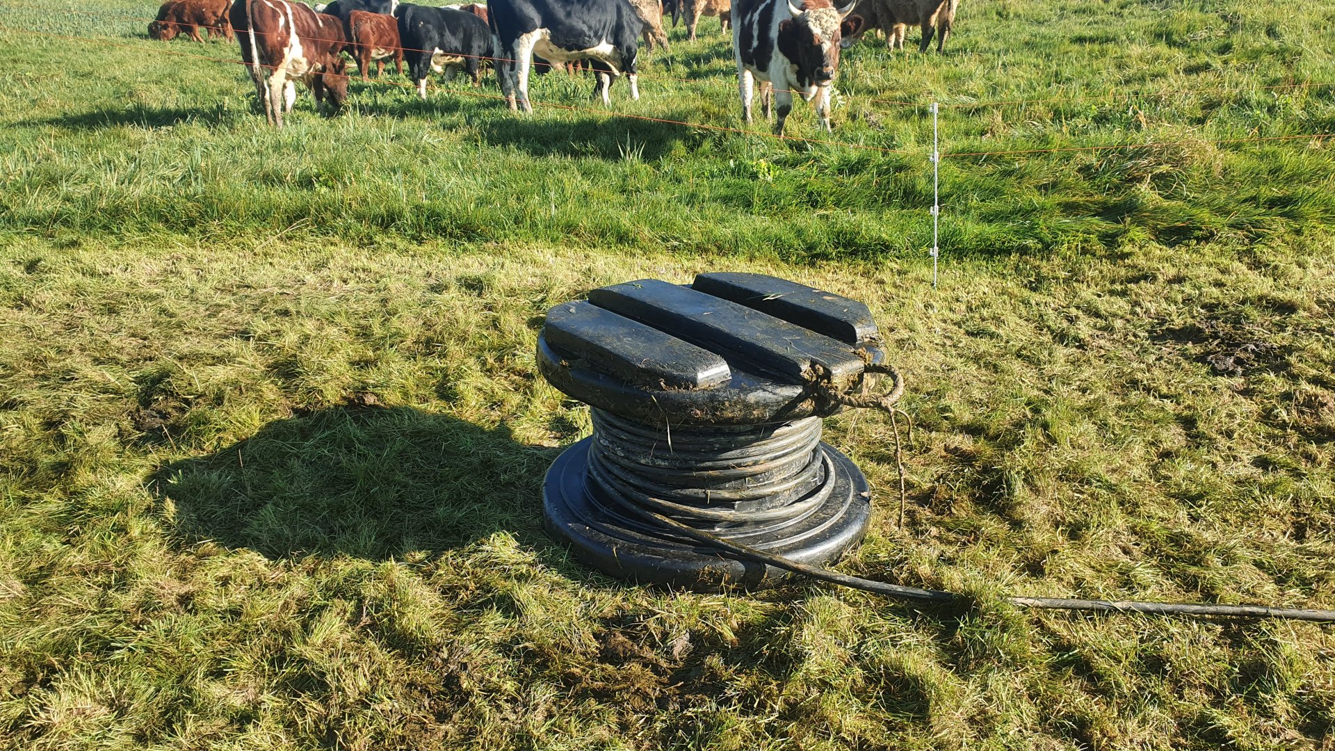 "Improving Our Lot" - Planned Holistic Grazing, for starters.. | Page ...