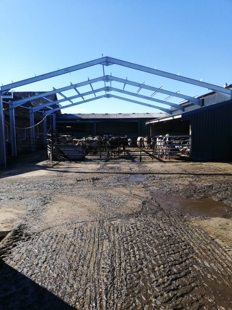 All things Dairy | Page 1647 | The Farming Forum