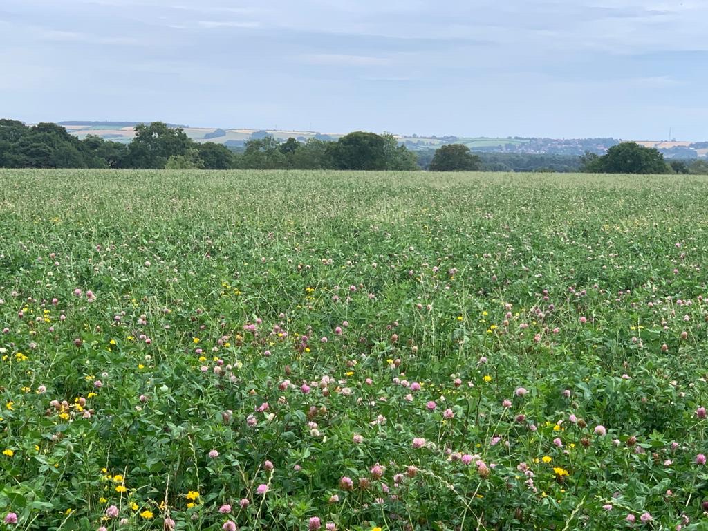 AB15 2 year legume fallow | Page 12 | The Farming Forum