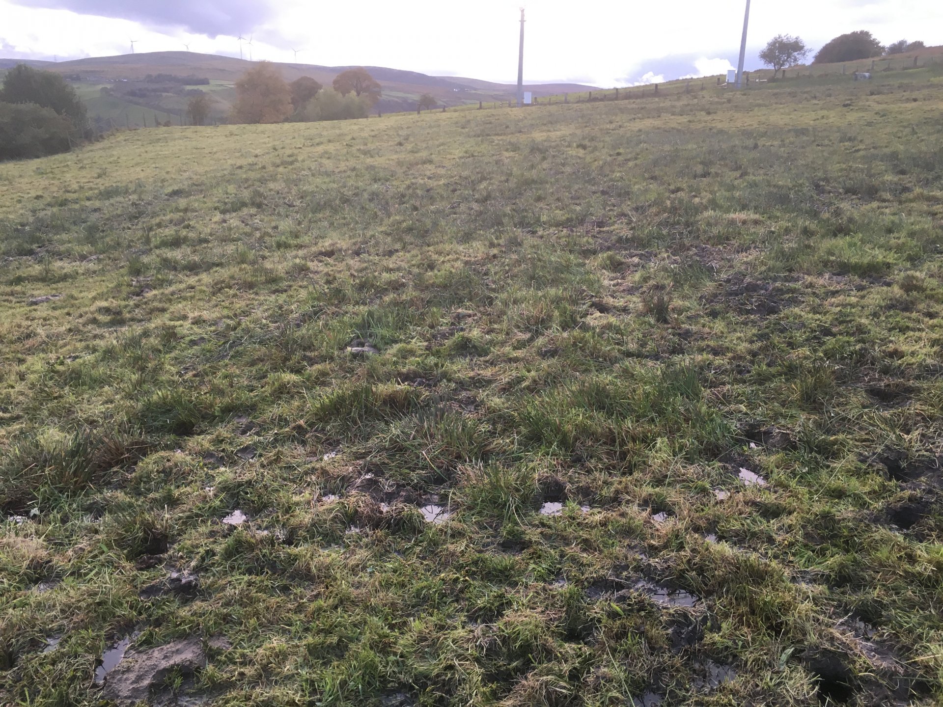 "Improving Our Lot" - Planned Holistic Grazing, for starters.. | Page ...