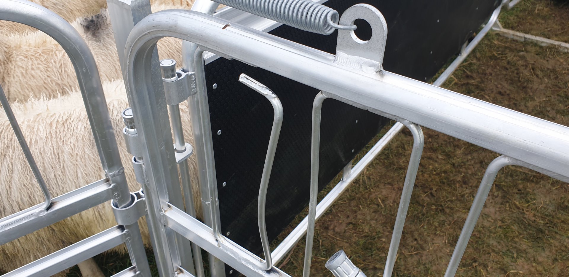 Mobile sheep handling systems | Page 8 | The Farming Forum