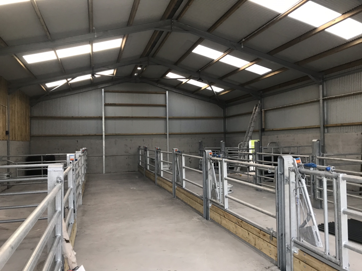 Bull shed/housing?? | Page 2 | The Farming Forum