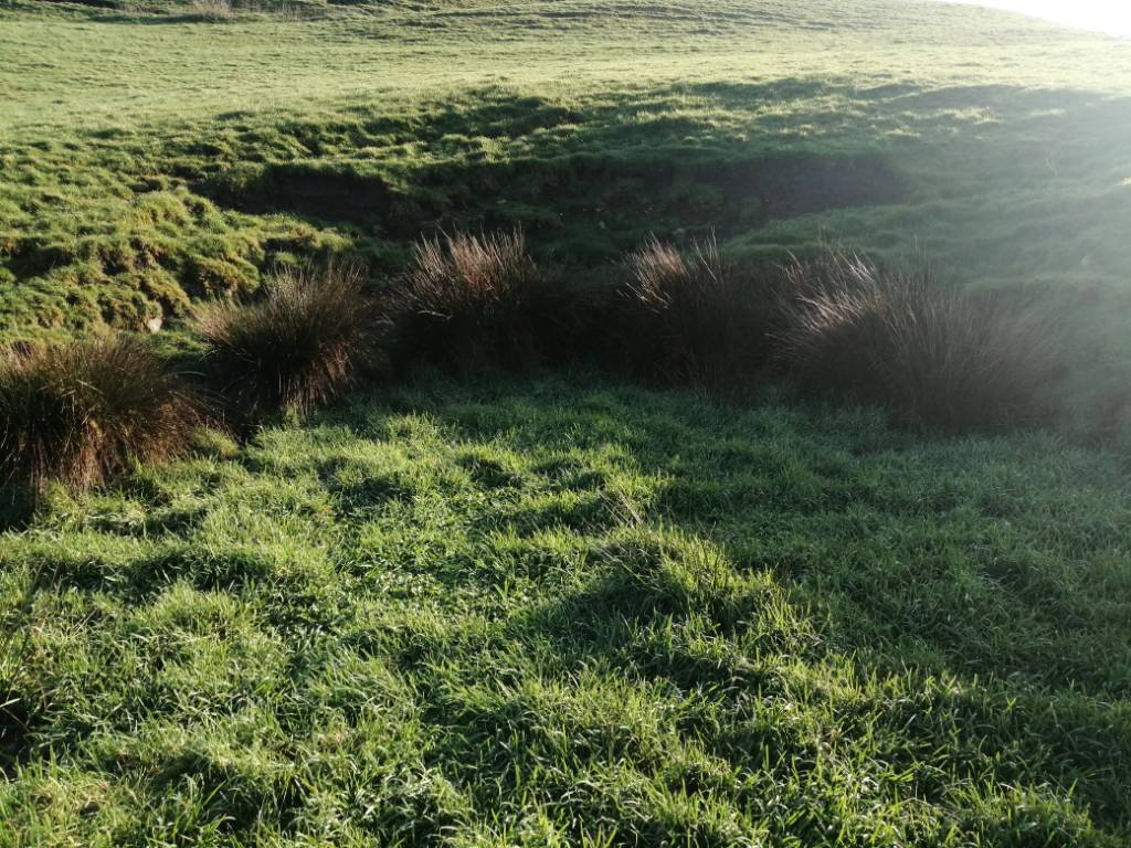 Piping a natural spring | Page 2 | The Farming Forum