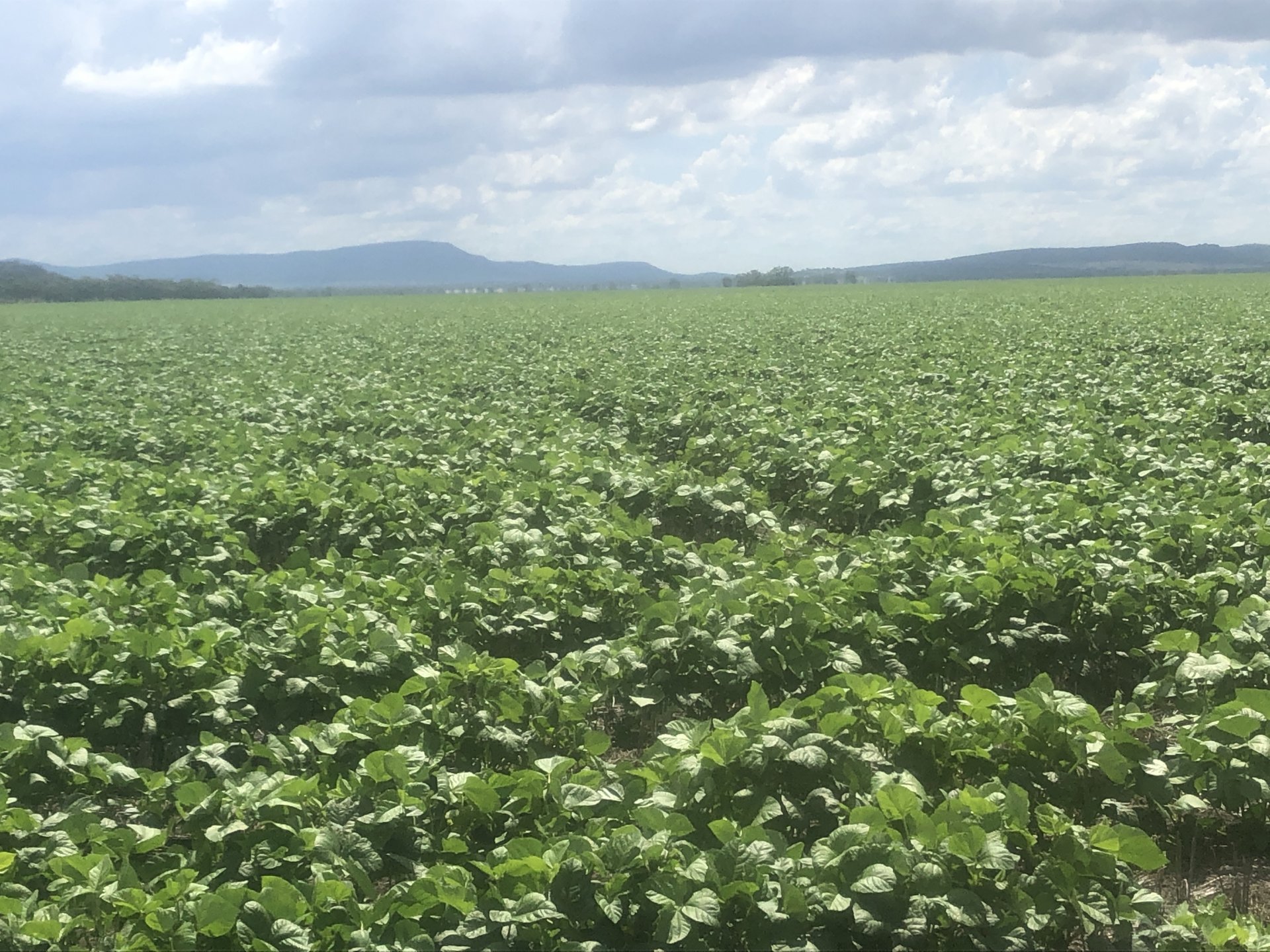 Today at work | Page 5782 | The Farming Forum