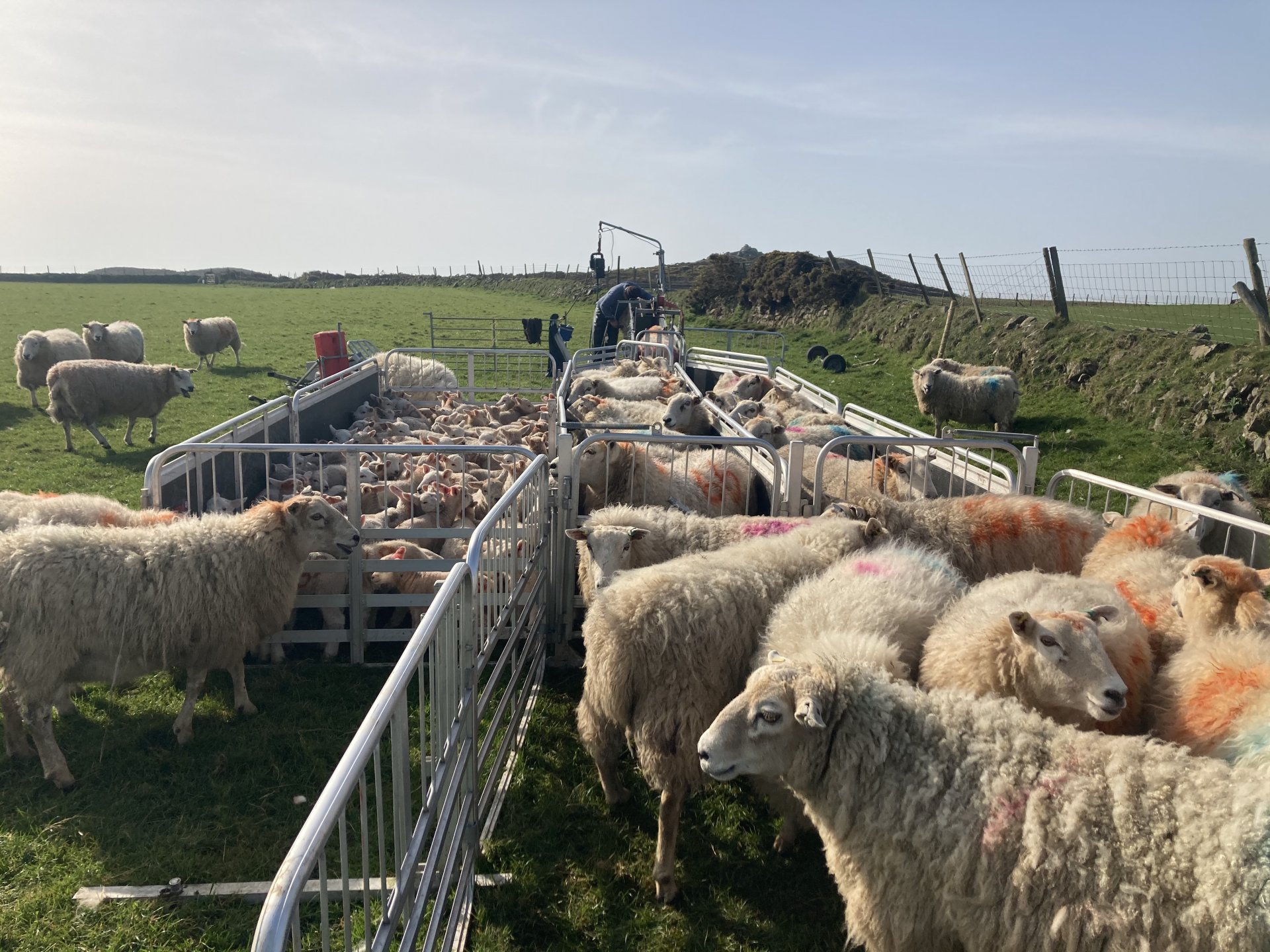 Today at work | Page 5838 | The Farming Forum