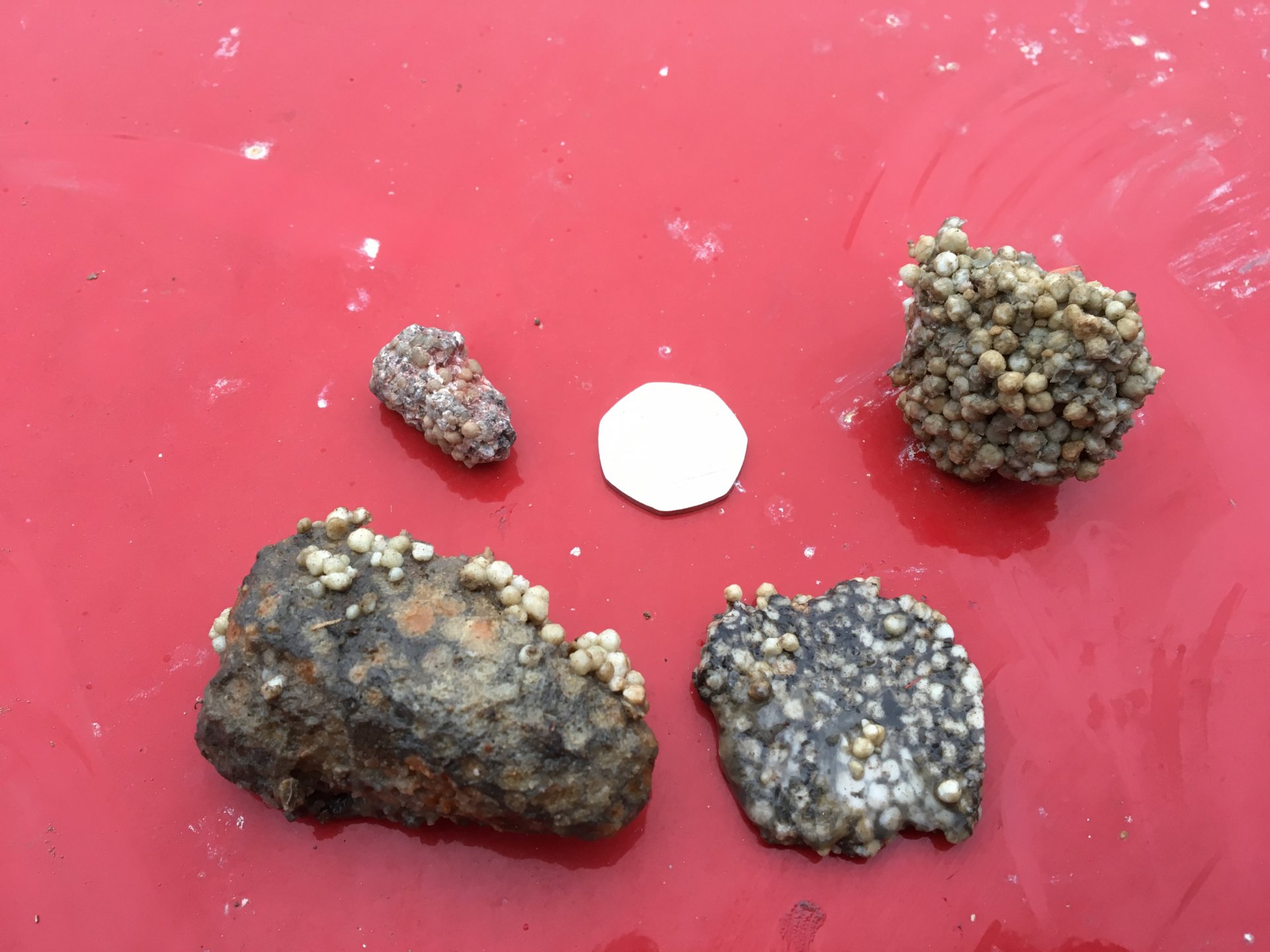 Fertilizer a little lumpy!! | Page 7 | The Farming Forum