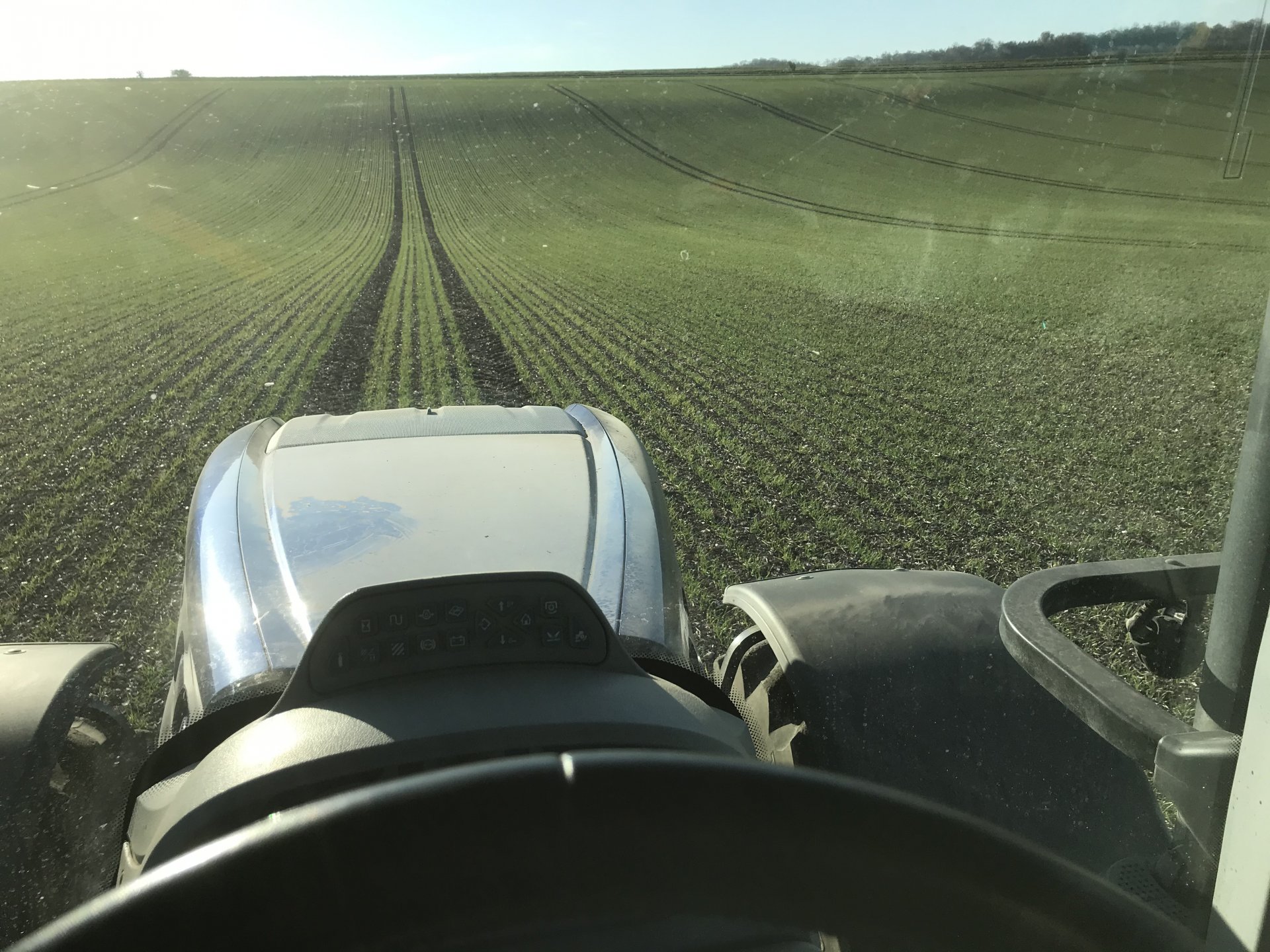 State of your crops? | Page 36 | The Farming Forum