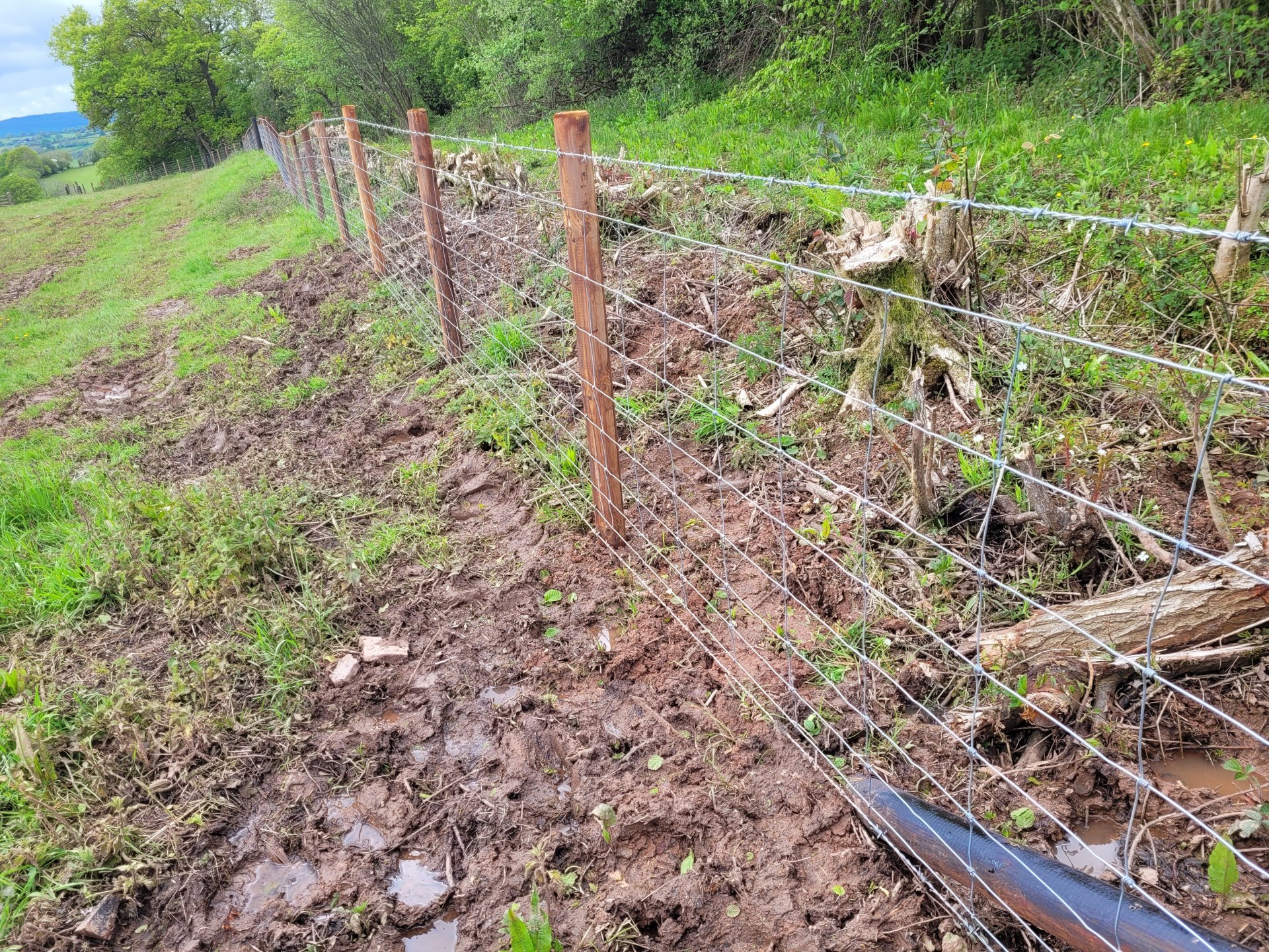The Fencing Picture Thread | Page 85 | The Farming Forum