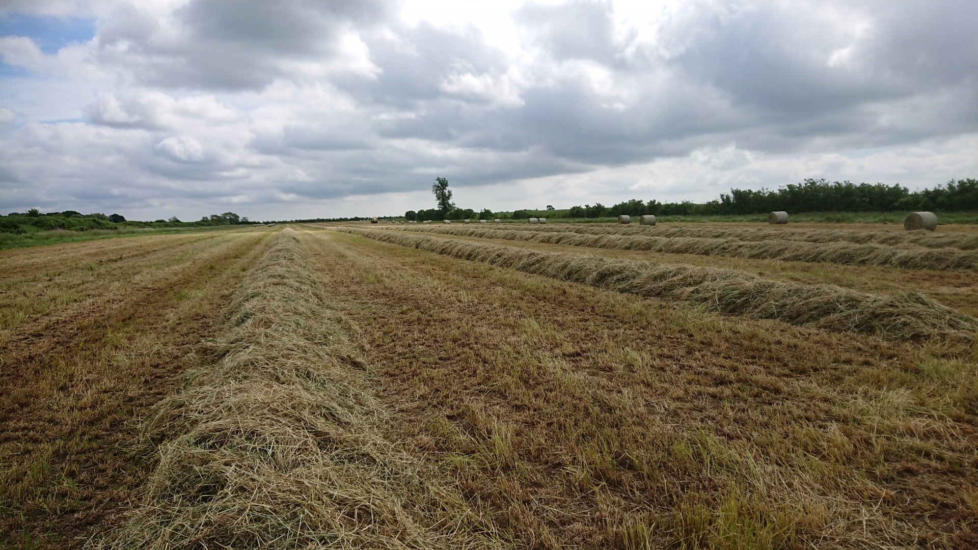 Today at work | Page 5972 | The Farming Forum