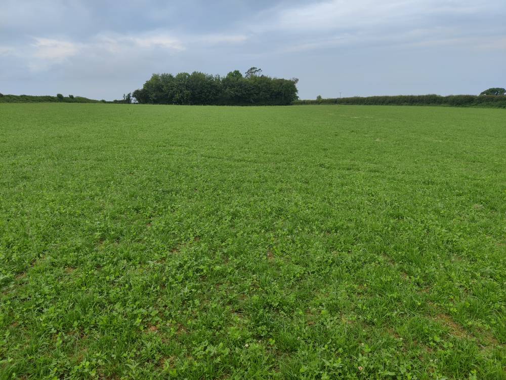 gs4 legume and herb rich | Page 2 | The Farming Forum