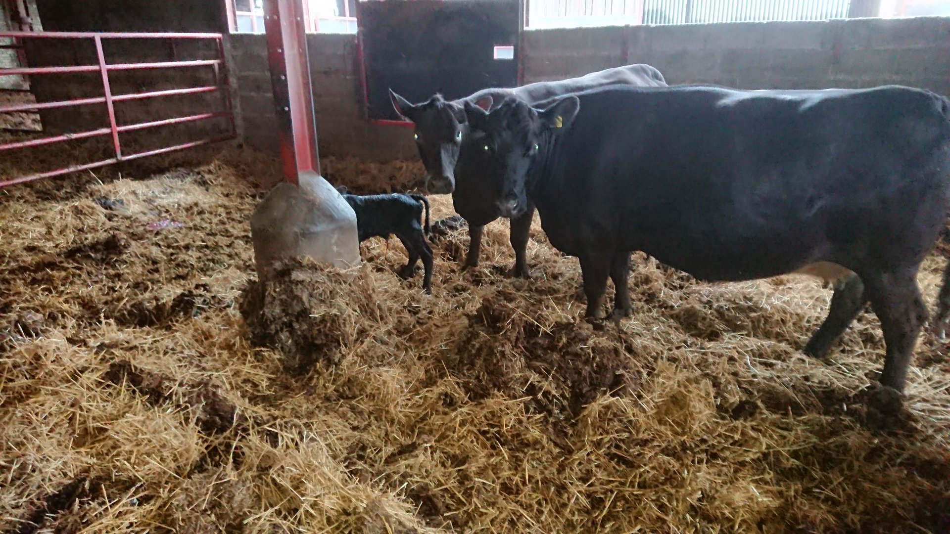 Today at work | Page 6044 | The Farming Forum