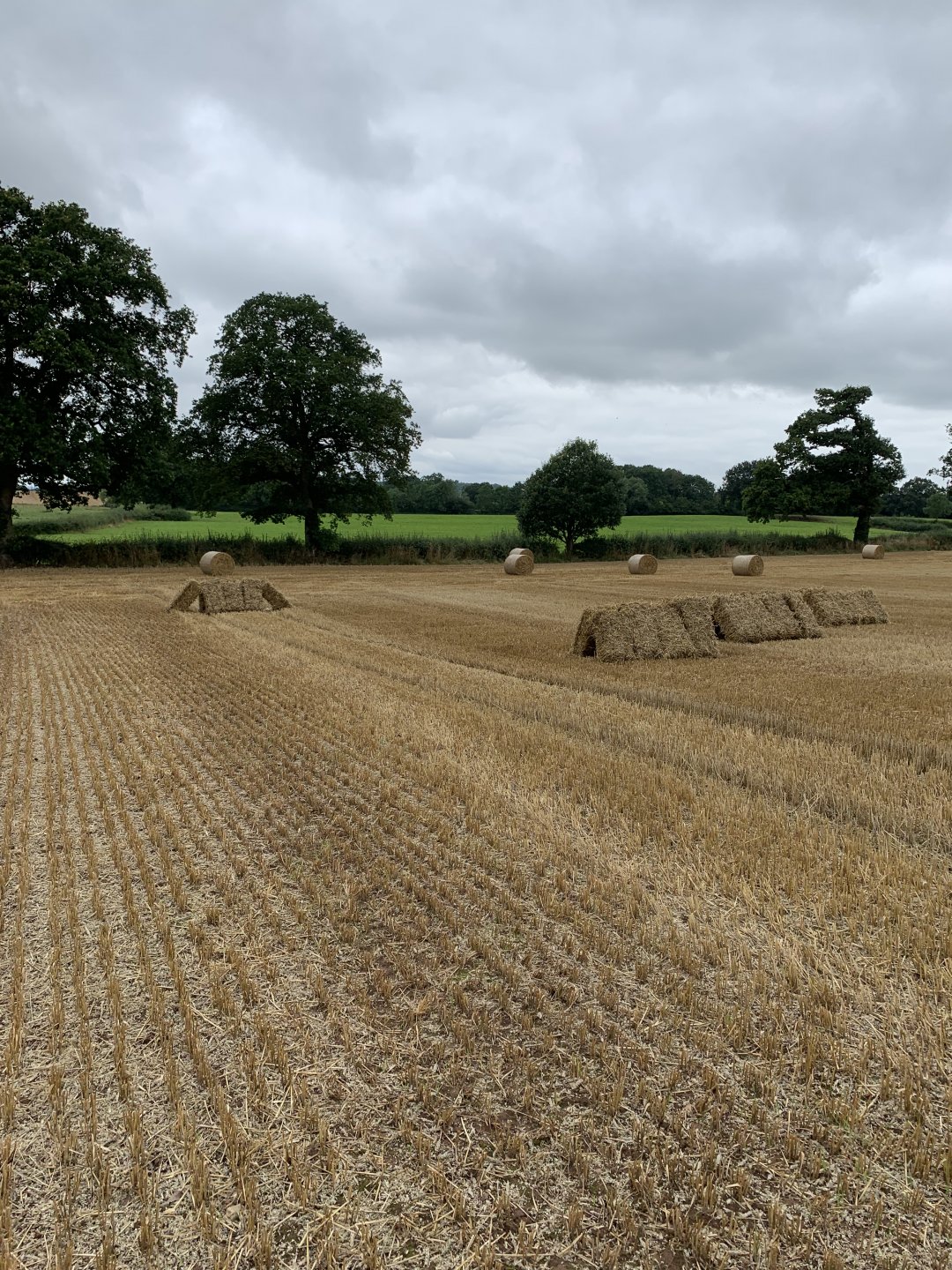 Wet straw | Page 2 | The Farming Forum