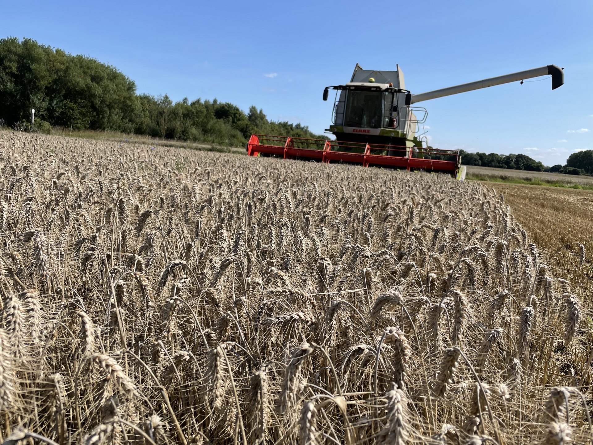 Skyfall | Page 2 | The Farming Forum