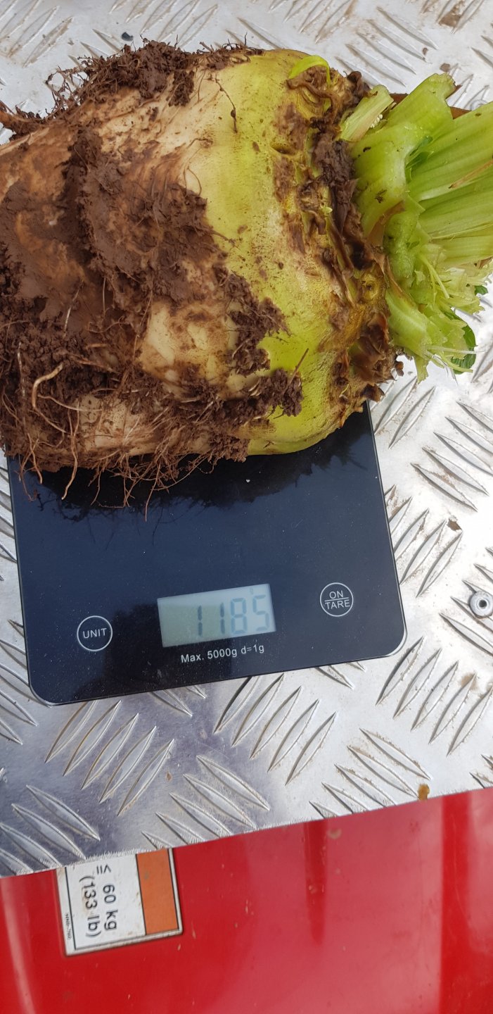 Beet yields 2020 | Page 67 | The Farming Forum