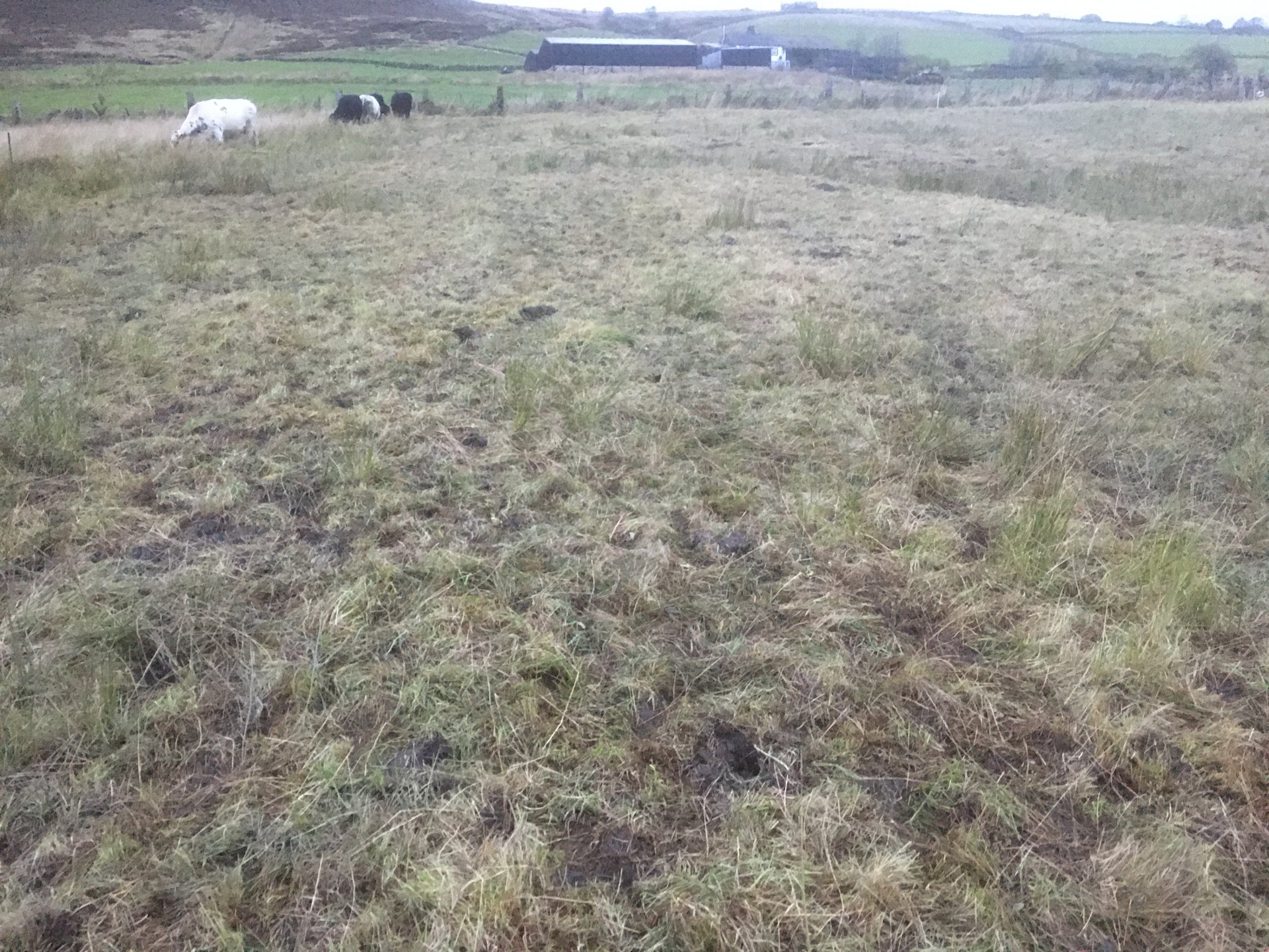 "Improving Our Lot" - Planned Holistic Grazing, for starters.. | Page ...