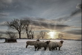 Panatec Protect | The Farming Forum